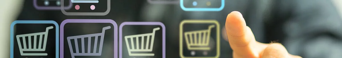 Creating a French consumer electronics retailing champion