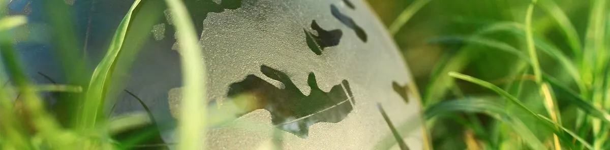 What is green trade finance? - Wholesale Banking