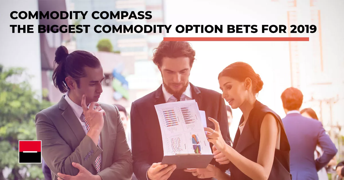 The Biggest Commodity Option Bets for 2019 - Wholesale Banking